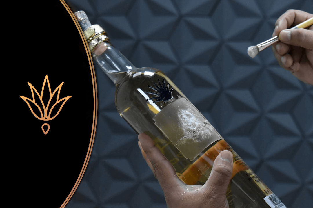 25 bebidas preparadas con tequila que debes probar