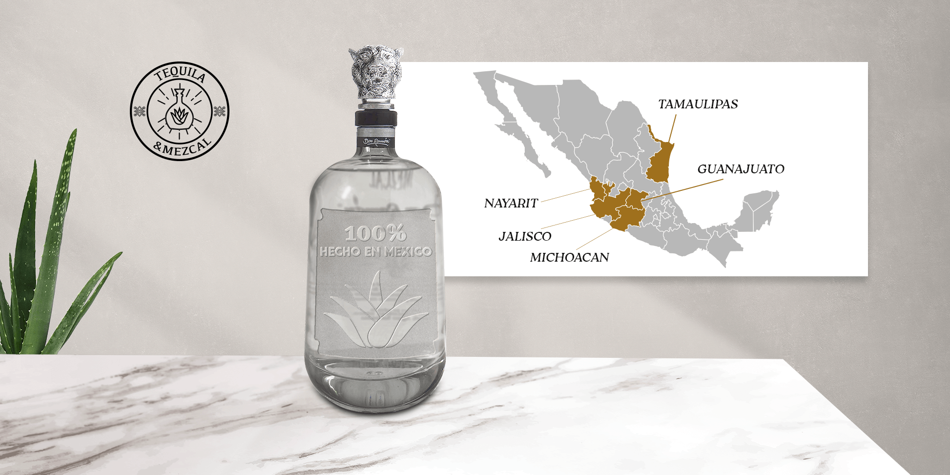 ¿De qué está hecho el tequila? La importancia del Agave Azul