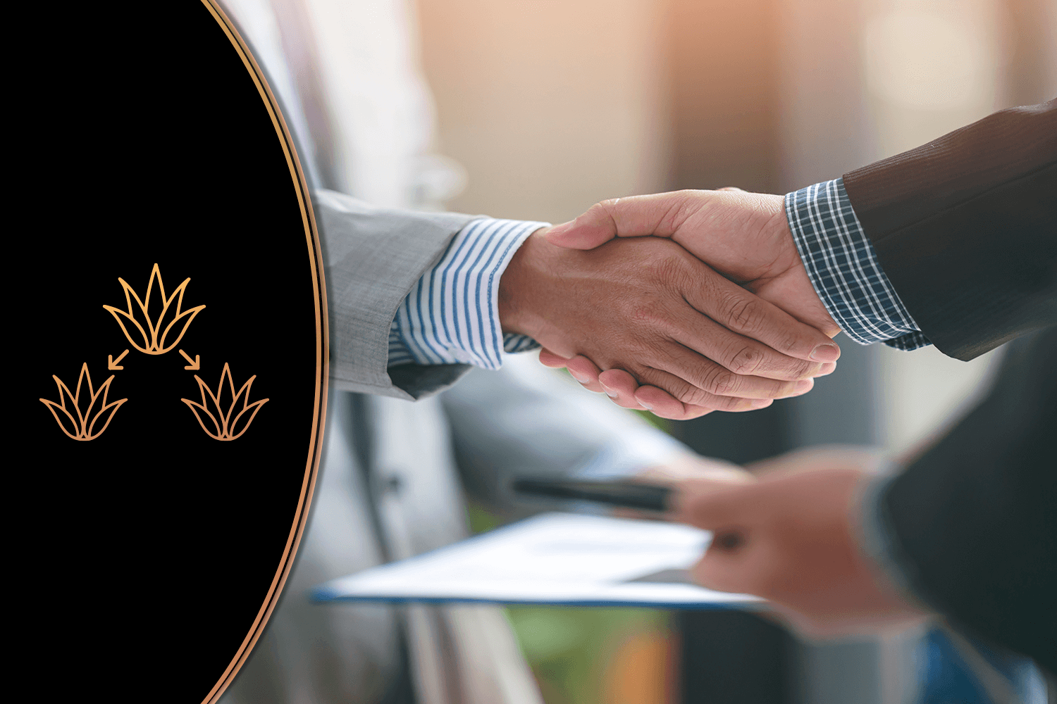 Tipos de inversionistas: ¿Cuál eres y dónde invertir?