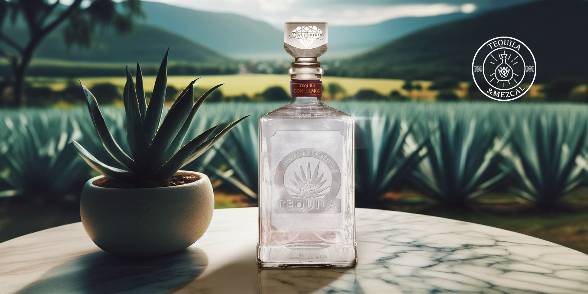 Historia del tequila: su origen y cultura